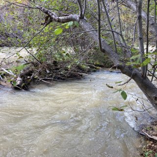 Questa Lodge & RV Park - Questa, New Mexico - RV LIFE Campground Reviews